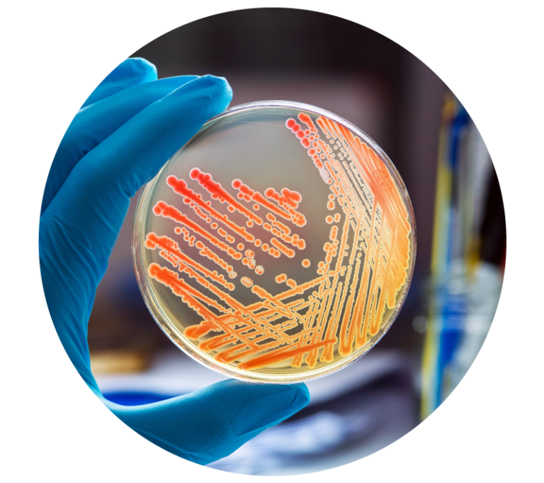 Laboratorio de Microbiología Sanitaria y Fisicoquímicos | Biomedical ...